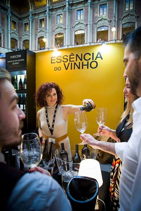 Vinhos de Colares e Alenquer entre as dez melhores escolhas da Essência ...