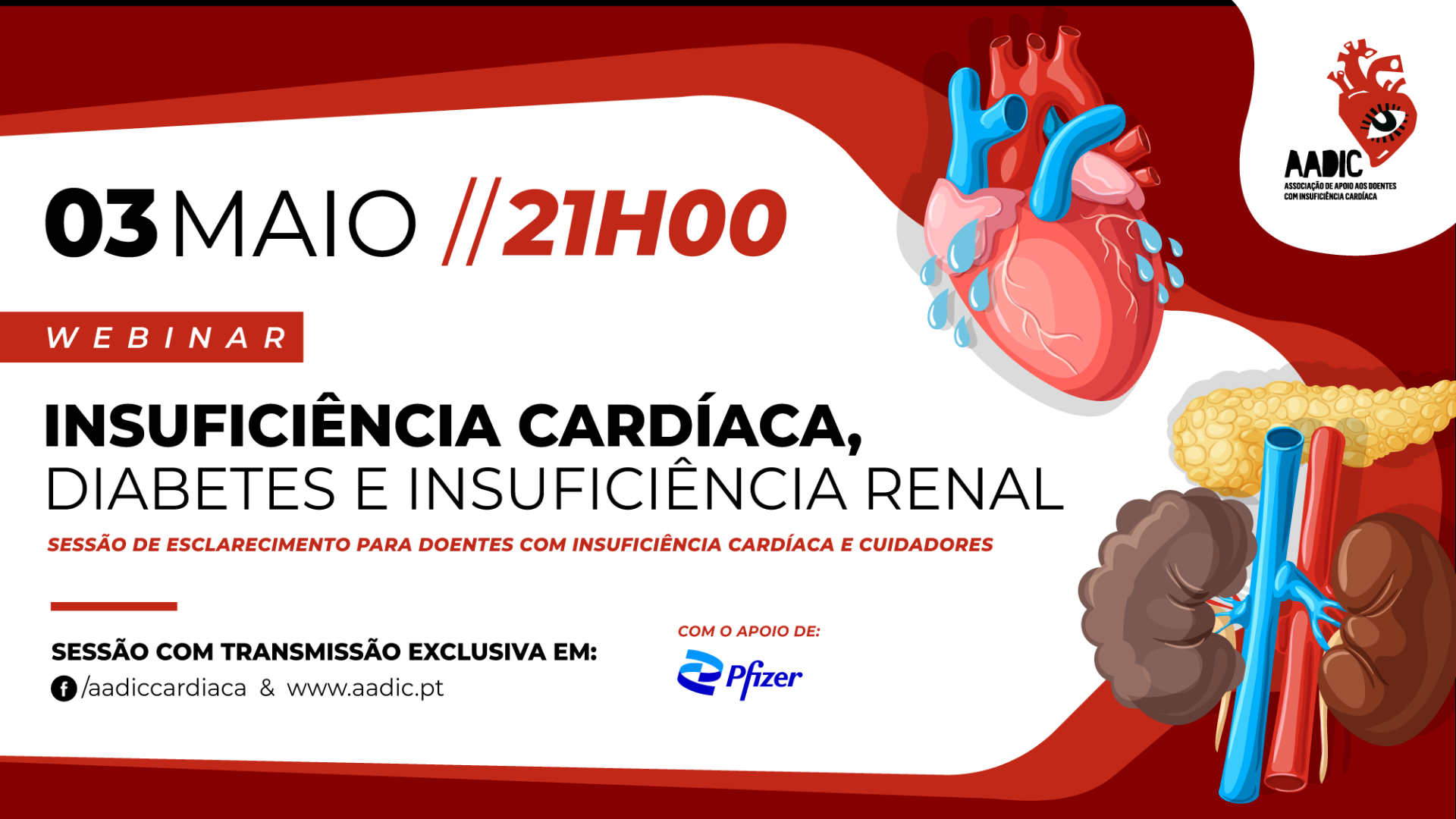 Webinar da AADIC aborda relação entre Insuficiência Cardíaca, Diabetes ...